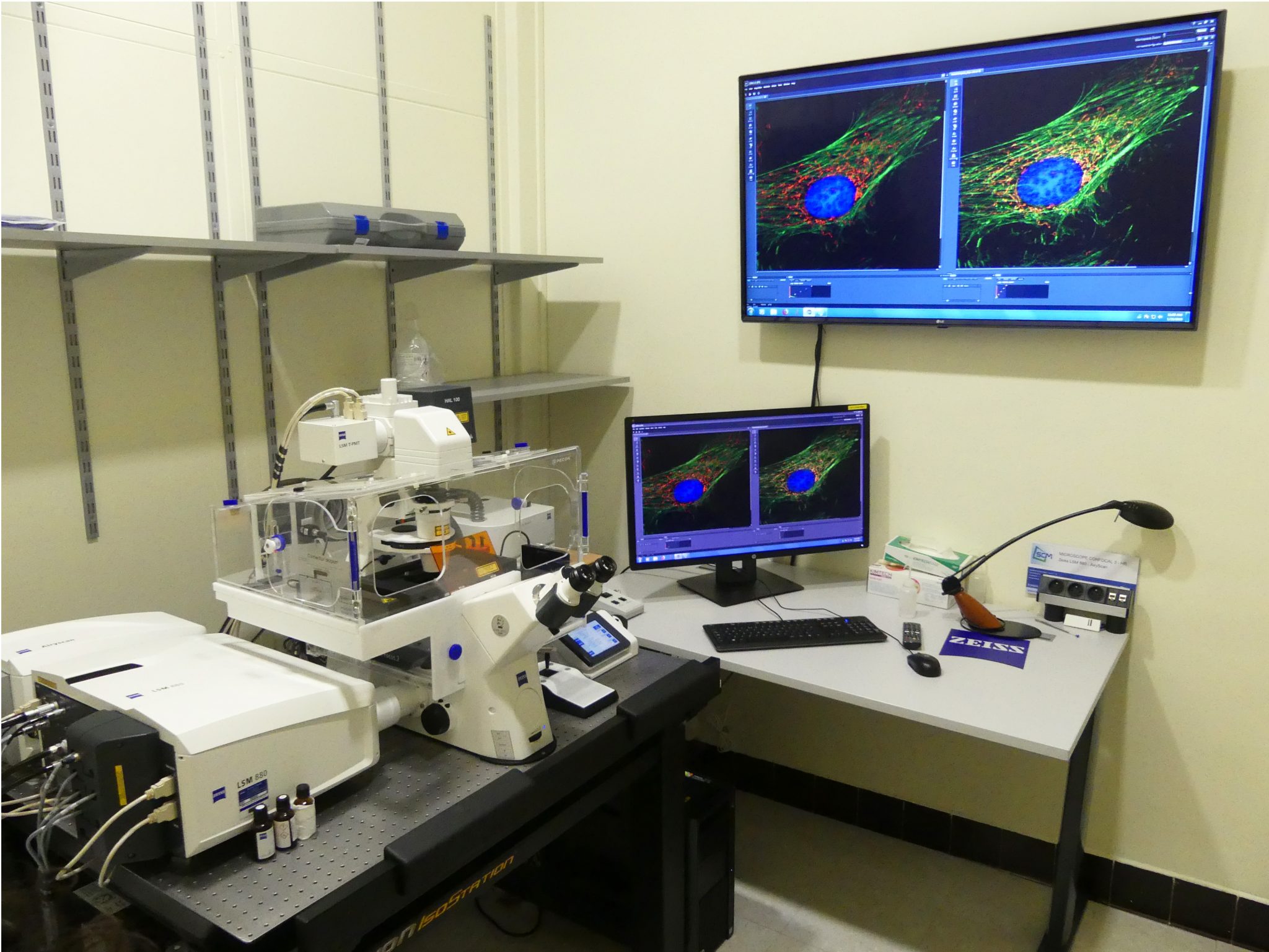 SCM | UFR Sciences Fondamentales et Biomédicales