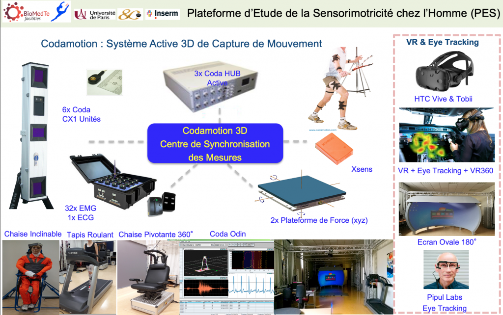 Sensorimotricité | UFR Sciences Fondamentales et Biomédicales